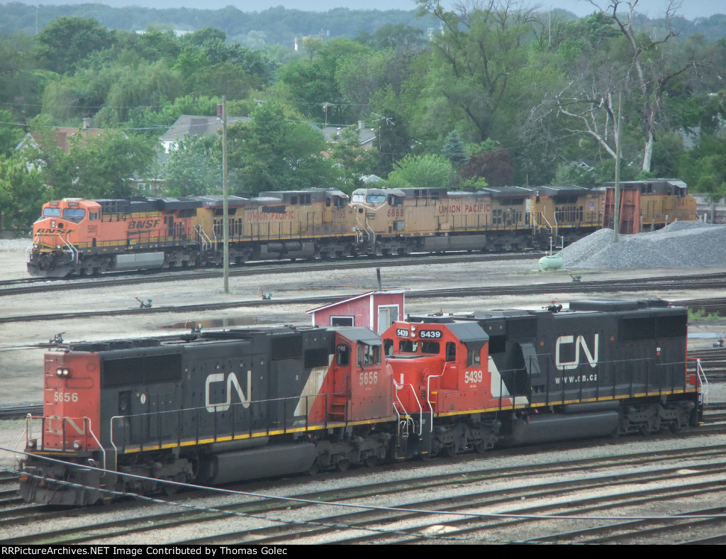 CN 5656